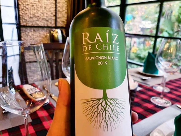 RAÍZ DE CHILE SAUVIGNON BLANC – FAMILY WINE