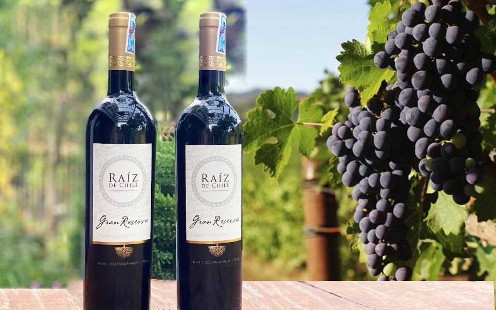 RAÍZ DE CHILE GRAN RESERVA CABERNET SAUVIGNON – FAMILY WINE