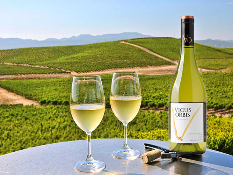 VICUS ORBIS CHARDONNAY – FAMILY WINE